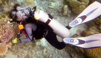 Technical Diving Reg Approved - | CAL-OSHA Reporter