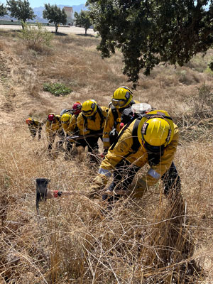 Breaking Ground on Wildland Respirators - | CAL-OSHA Reporter