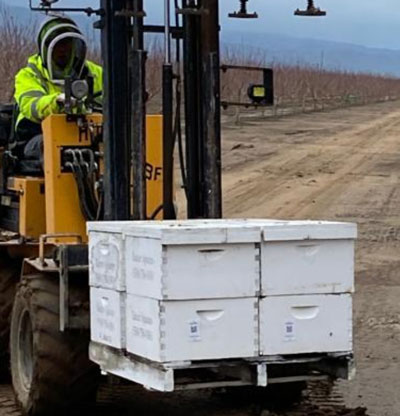 Beekeepers-Tauzer-apiaries - | CAL-OSHA Reporter