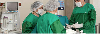 Plume Finally Meets - | CAL-OSHA Reporter